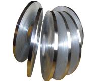 China ASTM ETP Steel Metal Strips 500MM Ss Strip Coil T2 T2.5 Corrosion Resistant for sale