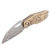 China OEM Pterosaur SS Steel Dagger Knife Scratch Resistant Antirust for sale