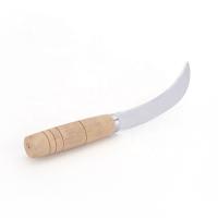China Polished Curved Fruit Knife L17.6cm W4.3cm For Grapefruit Pineapple Banana for sale