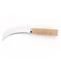 China Polished Curved Fruit Knife L17.6cm W4.3cm For Grapefruit Pineapple Banana for sale