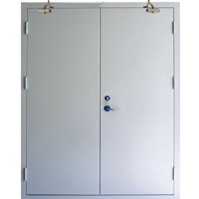China Customized 60/90 Minute Fire Rated Galvanized Steel Safety Door 0.8mm Sheet 45-55mm Thickness for Apartments for sale