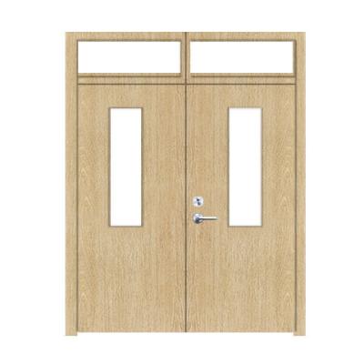 China Dark Grey Powder Coating Fire Rated Steel Door with Vertical Glass - 16-18 Ga. Galvanized Steel, 4'x8' Size for sale