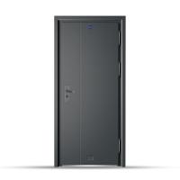 China Customized Modern Villa Security Iron Door 90mm Thickness with 13-Point Lock System and Matte Finish for sale