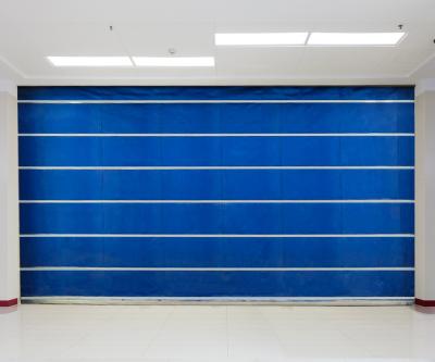 China Sectional Overhead Fire Rated Coiling Door with 3-Hour TF3 Fire Resistance and 55mm Guide Rail Depth for sale