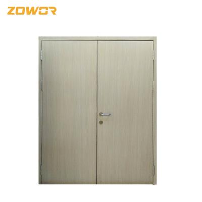 China BS Certified 40 mm FD30 Fire Door with 30-Minute Rating for Interior and Exterior Building Applications for sale