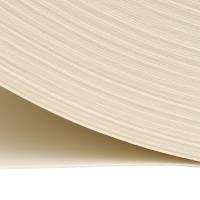 China Extruded PP Foam Manufacturer Crosslinked Polypropylene Foam IXPP for sale