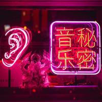 China Glass Tubes Led Flexible Neon Strip Neon Light Up Sign CE for sale