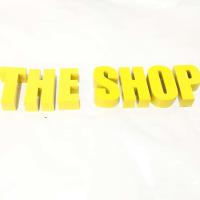 China Gold Brush Stainless Steel Metal Letter Sign 10cm Depth For Government Offices for sale