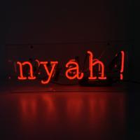 China Eye Catching 12VDC Custom Neon Sign Light Box Free Standing for sale