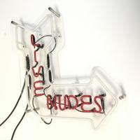 China Live Nudes Acrylic Neon Sign Outdoor Advertising 60x45cm Wall Mount for sale