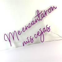China Purple Flexible LED Neon Sign Wall Mounted Illuminated 51200 Hours for sale