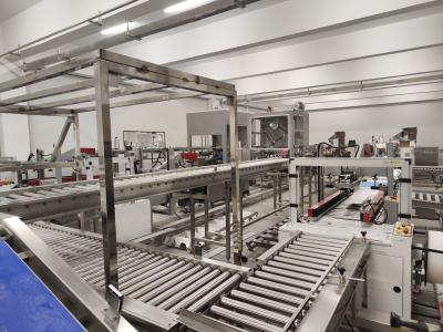 China Automatic Packaging Line for Factory   Turnkey Case Packing & Palletizing Solution for sale