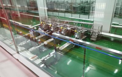 China Food Packaging Line: Case Packing & Palletizing System for sale