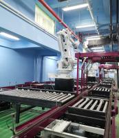 China Turnkey Automatic Packaging Line for Food - Filling to Palletizing for sale