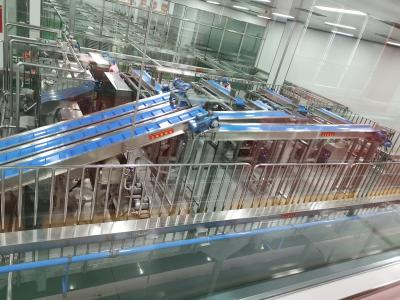 China Fully Automatic Pouch Packaging Line, Packaging and Palletizing Production Line for sale