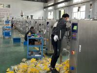China Vertical Automatic Snacks Biscuit Pouch Packing Machine High Speed 520mm Film Width for sale
