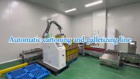 China Automatic Packing Line Coffee Capsule Automatic Cartoning And Palletizing Line SUS304 for sale