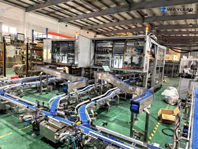 China Food Processing Factory Specifies Electric Automatic Hffs Horizontal Flow Wrapping Machine for sale