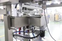 China Large Vertical Packing Machine  For Snack Food Processing Plants for sale