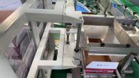 China Stable Two-Axis Robot Case Packer for Food & Beverage Industry for sale