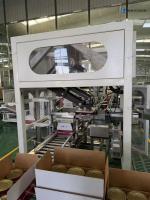 China Stable Two-Axis Robot Case Packer for Food & Beverage Industry for sale