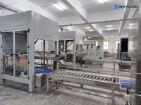 China Automatic Spider Hand Robot Carton Case Packer Packing Machine for sale