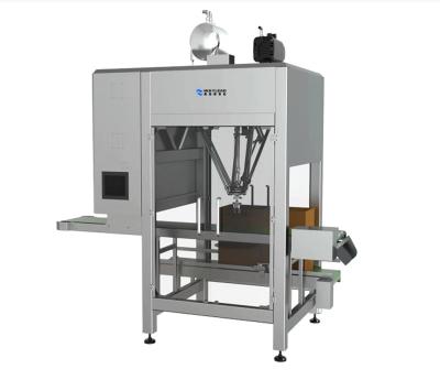 China Automatic Spider Hand Robot Carton Case Packer Packing Machine for sale