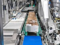 China Waylead Flexible Robot Arm Casebox Packer Packing Machine for sale
