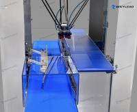 China Spider Hand Robot Automated Case Packer Energy Saving Industrial Carton Case Packer for sale
