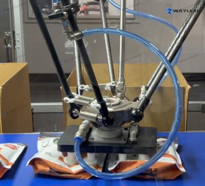 China Waylead Flexible Robot Arm Casebox Packer Packing Machine for sale