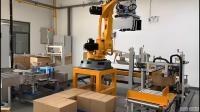 China Reliable Robot Palletizing System with End-to-End Automation for sale