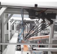 China Spider Hand Robot Automated Case Packer Energy Saving Industrial Carton Case Packer for sale