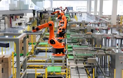 China Reliable Robot Palletizing System | End-to-End Automation Solution for sale