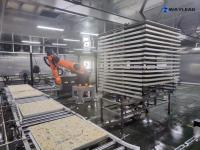 China Efficient robot solutions for freeze-drying food production lines for sale