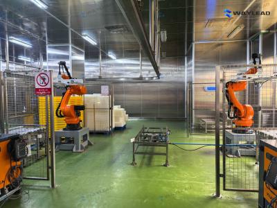 China Freeze-Drying Automated Line Automatic In/Out Freeze-Drying Warehouse Equipment for sale