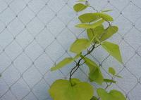 China SS304 SS316 Flexible Wire Mesh Netting 100x100mm Metal Mesh For Climbing Plants for sale