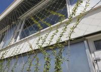 China 2mm Metal Wire Rope Mesh SUS316l 100x100mm Wire Mesh For Growing Vines for sale