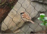 China AISI304  AISI316L Animal Enclosure Mesh Zoo Aviary Netting  25x25mm for sale