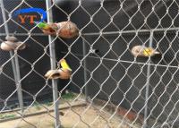 China High Strength 1.6mm Stainless Steel Webnet Custom Stainless Steel Bird Netting for sale