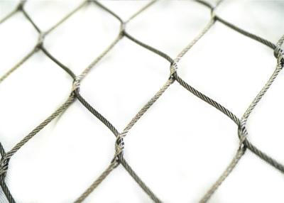 China 60 Degree Angle 1.5mm Zoo Aviary Netting Macaw Aviary Wire For Enclosure Fence for sale