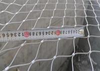 China 304L 5mm Aviary Mesh Netting 7x19 Cage And Aviary Wire Mesh for sale