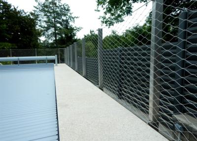 China Soft Handrails 2.0mm Wire Rope Netting 2.4m Length Customization for sale