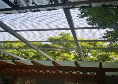 China 100*100mm Green Wall Stainless Steel Cable Netting SS316L For Trellis for sale