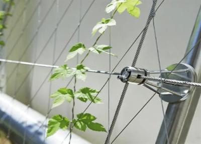 China Potato Grapes Trellis  Metal Mesh For Climbing Plants 1.5mm Ferruled Type for sale
