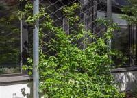 China 100*100mm Green Wall Stainless Steel Cable Netting SS316L For Trellis for sale