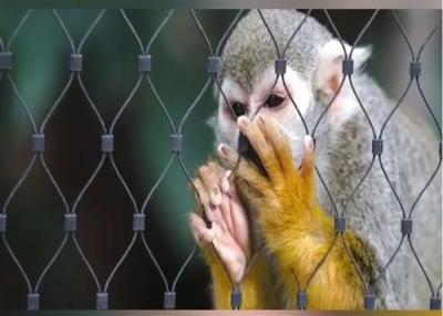 China Plain Weave Enclosure Animal Stainless Steel Zoo Mesh 5.0mm 304L 316 for sale