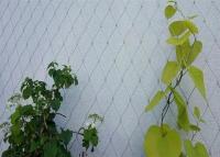China Ss304  Ss316 1.5mm Steel Rope Netting For Climbing Plants Outdoors for sale