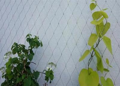 China Ss304  Ss316 1.5mm Steel Rope Netting For Climbing Plants Outdoors for sale