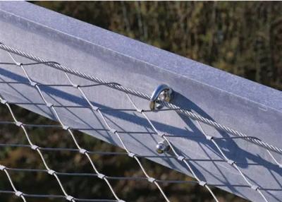 China Wire Rope Netting 2.0mm Ferruled for sale