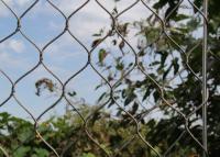 China Durable Stainless Steel Aviary Mesh 1.6mm SS Cable Net Zoo Enclosure 7x19 for sale